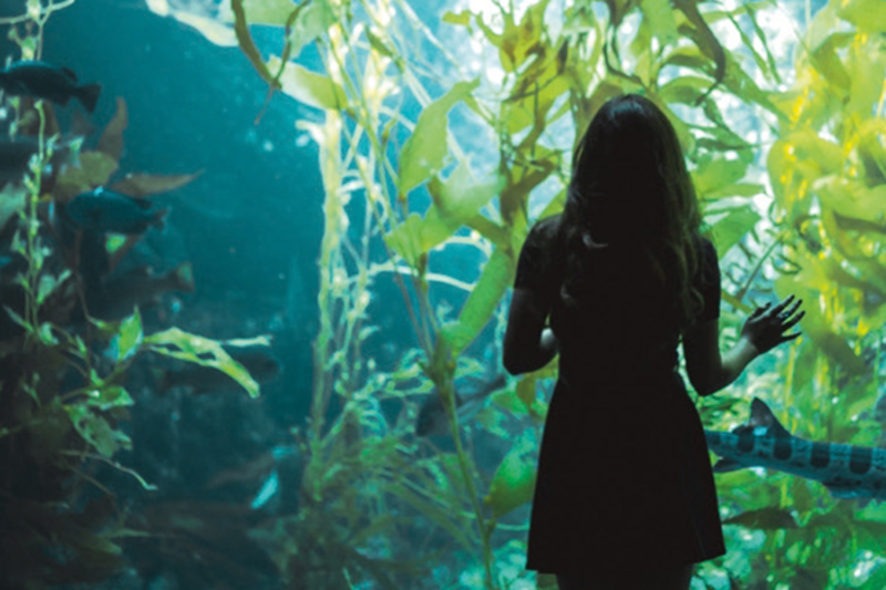 Séjour Le Lys au pays des merveilles - Coxyde - Les Associations Solidaris